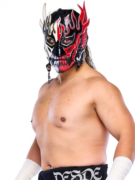 NEW JAPAN PRO-WRESTLING