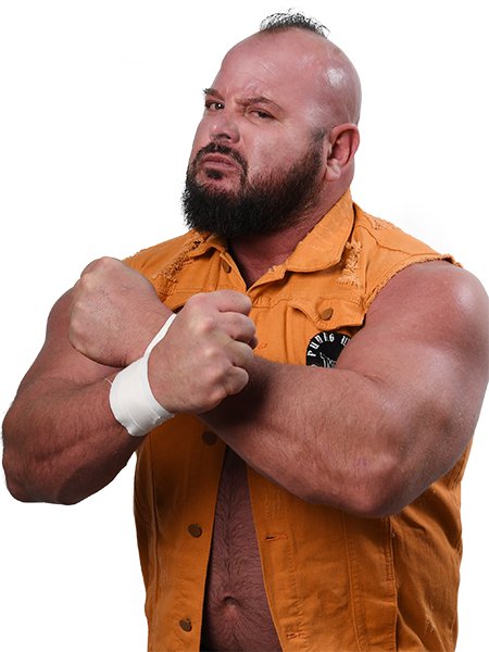 NEW JAPAN PRO-WRESTLING