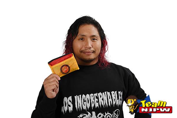 【Team NJPW情報】2024年度・Team NJPW継続特典のお知らせ ｜ 新日本プロレスリング