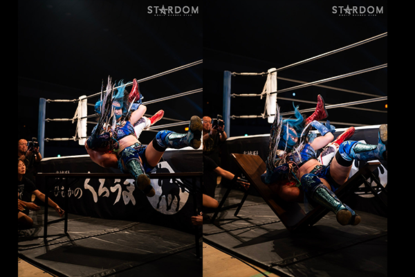 NEW JAPAN PRO-WRESTLING